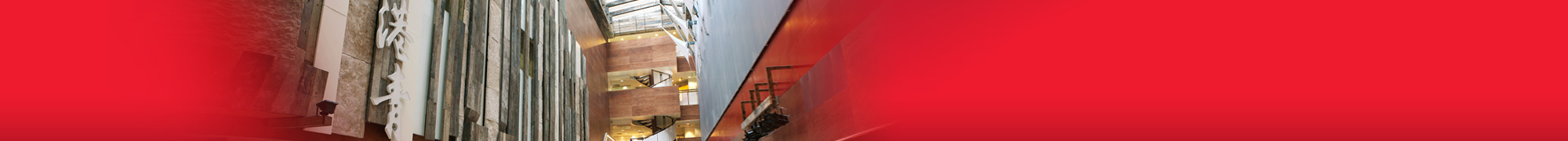 YMCA of Hong Kong - ORGANIZATION STRUCTURE